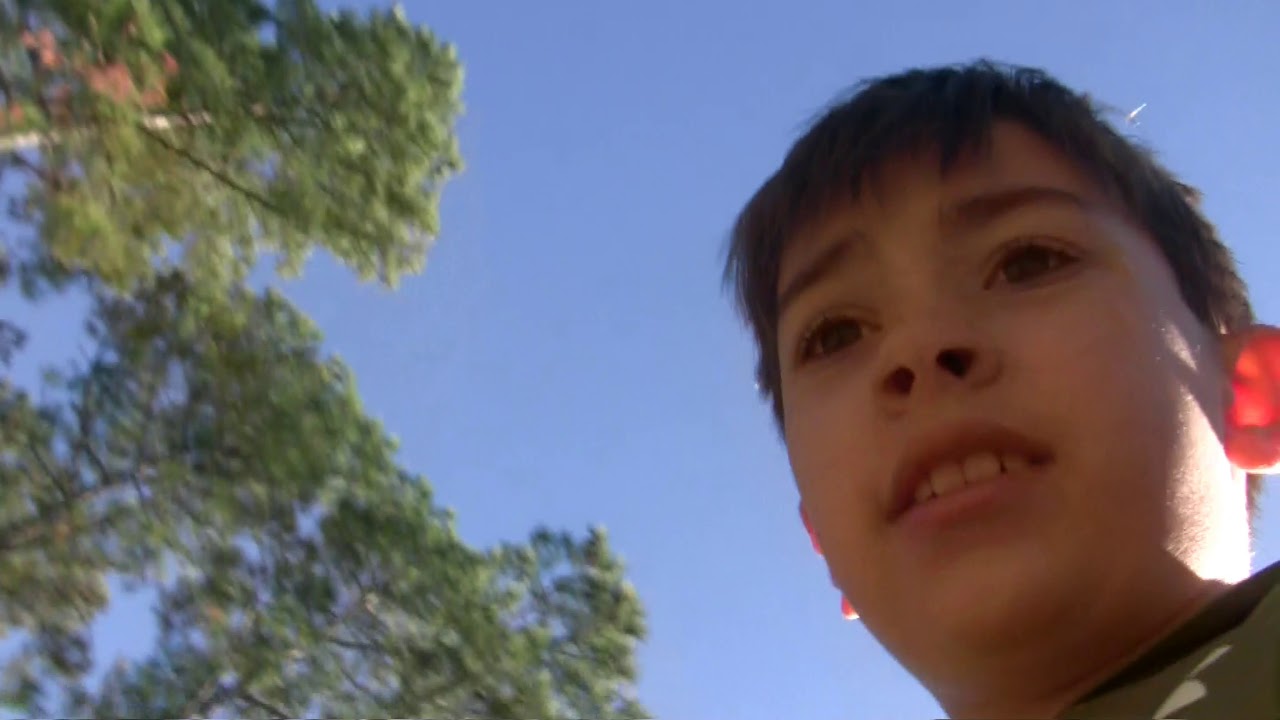 Ethan Demonstrates How Good the Gerber Axe is for Chopping Wood - YouTube