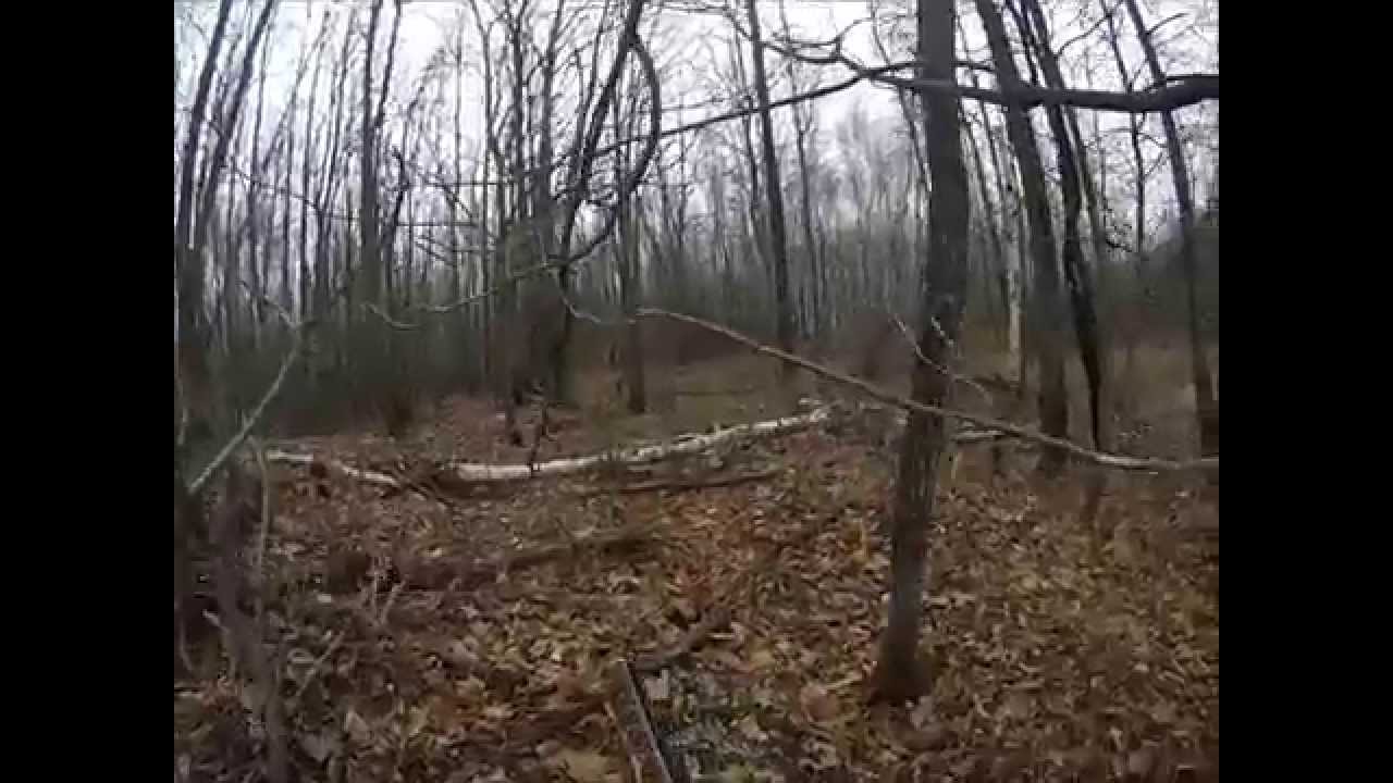 2014-2015 MN Grouse and Woodcock Hunting Highlights - YouTube