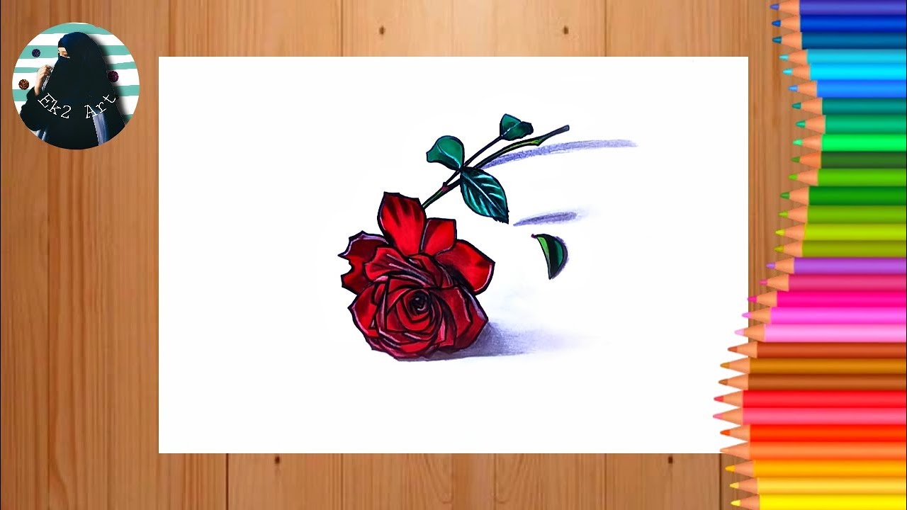 Rose drawing |How to draw rose with colour pencils|Ek2Art|step by step ...