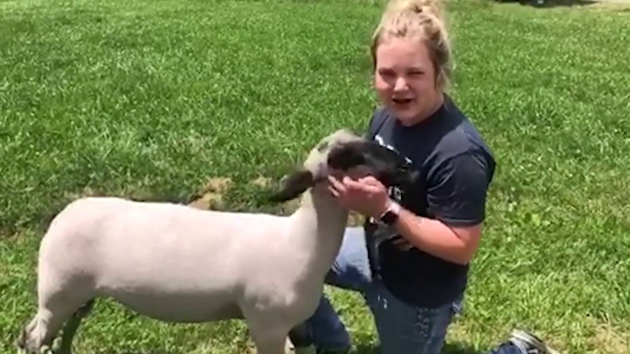 What Do Ewe Know - YouTube