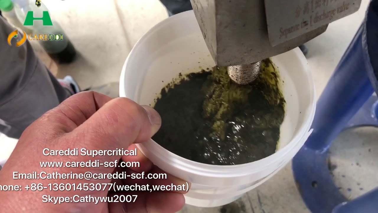 Mint oil extraction by large scale Supercritical CO2 Extraction machine ...