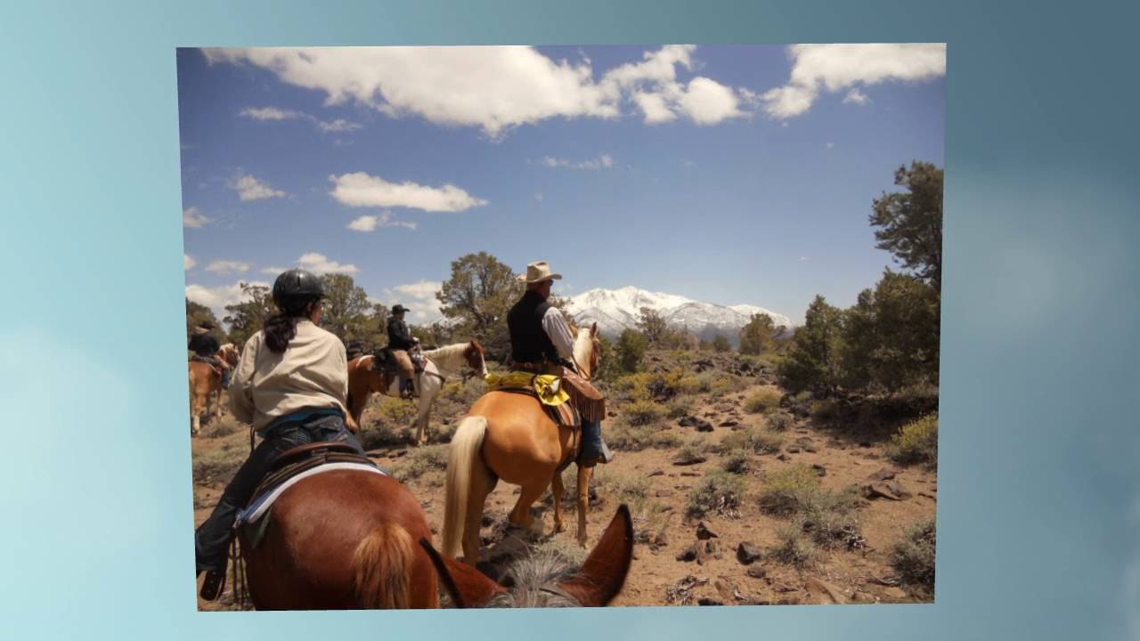 Mustangs in the Wild Horseback Riding Expedition - YouTube