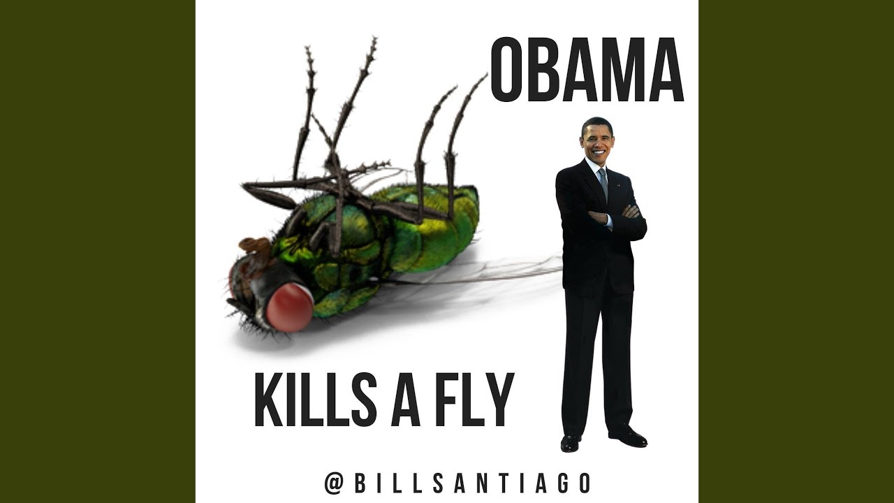 Obama Kills a Fly - YouTube