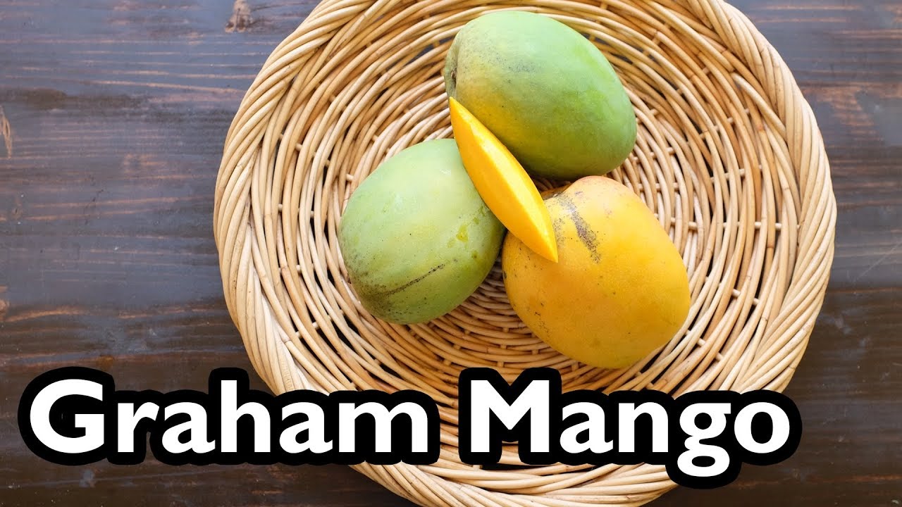 Truly Tropical Guide to Mango Varieties- 'Graham' - YouTube