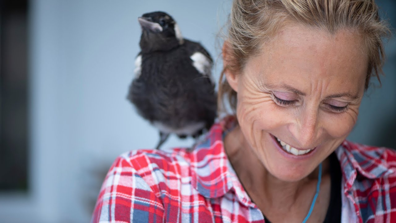 Sam Bloom Heartache & Birdsong Book Trailer - YouTube