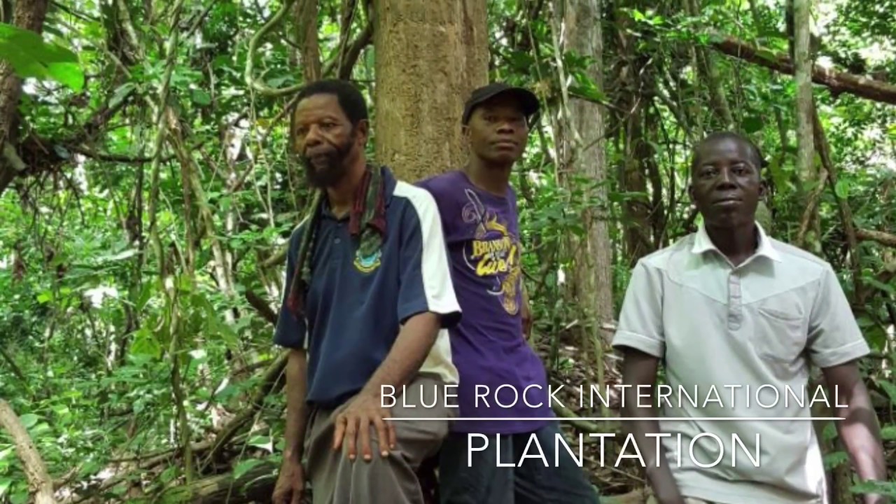 Liberia Plantation: Blue Rock International - YouTube
