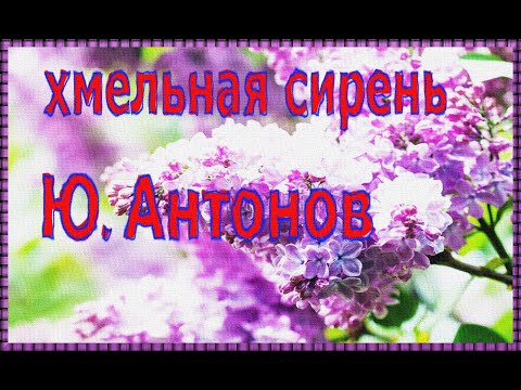 хмельная сирень. Ю. Антонов