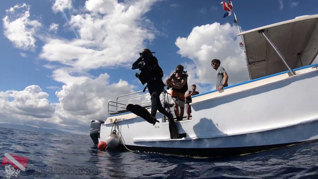 Scuba Diving Hawaii | Sea Tiger & Horseshoe Reef | vlog 438 - YouTube