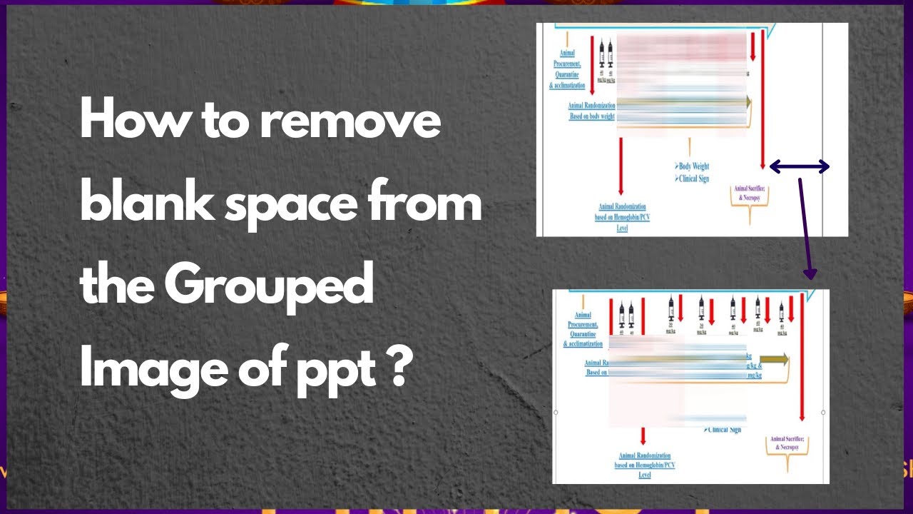 How To Remove Extra Space From Image While Copying From Power Point Presentation To Msword How To Remove Extra Space From Image While Copying From Power Point Presentation To Msword