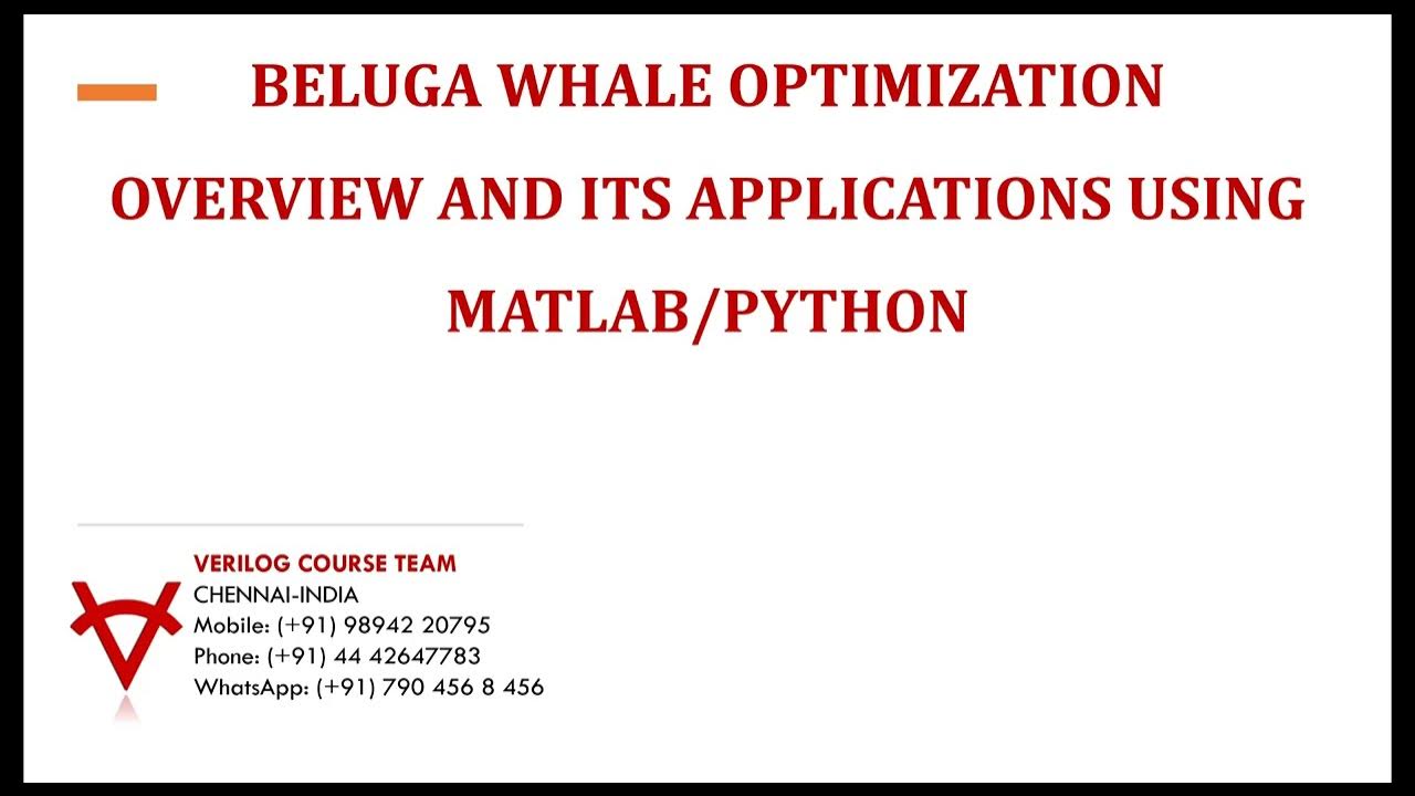 BELUGA WHALE OPTIMIZATION OVERVIEW AND ITS APPLICATIONS USING MATLAB-PYTHON - YouTube