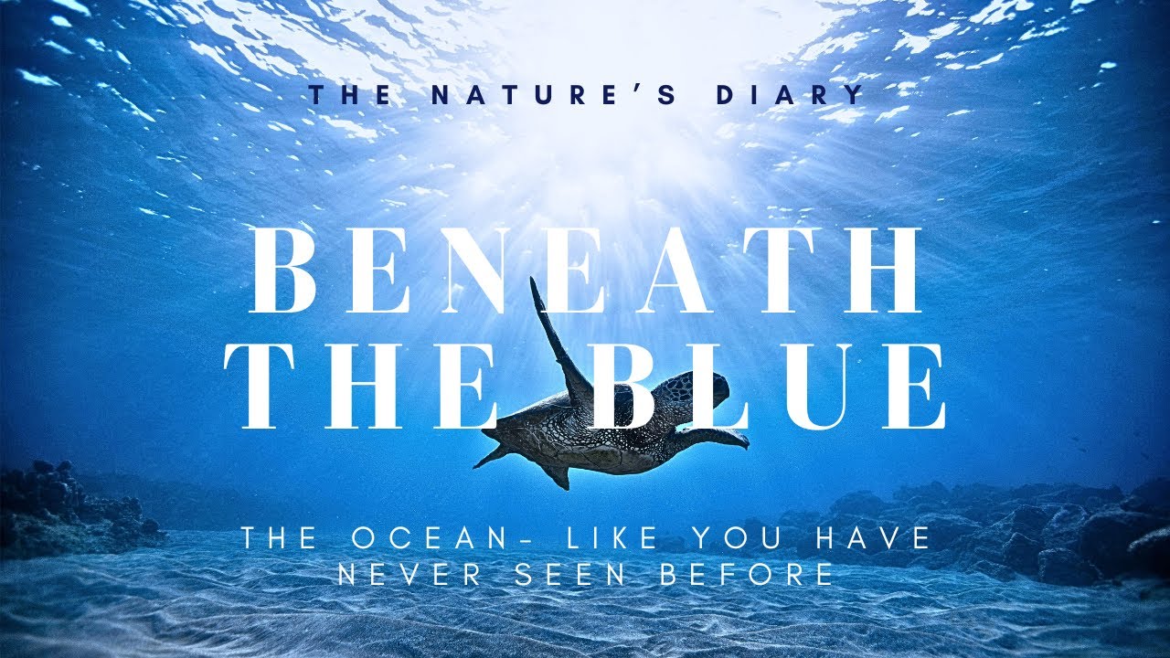 Beneath the blue | The ocean- like you have never seen before| Aquatic ...