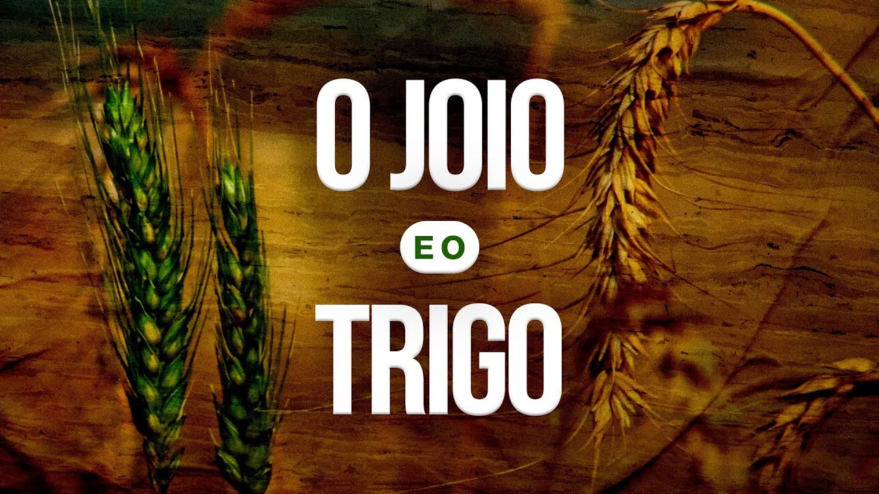 O JOIO E O TRIGO | BISPO MARCIO CAROTTI - YouTube