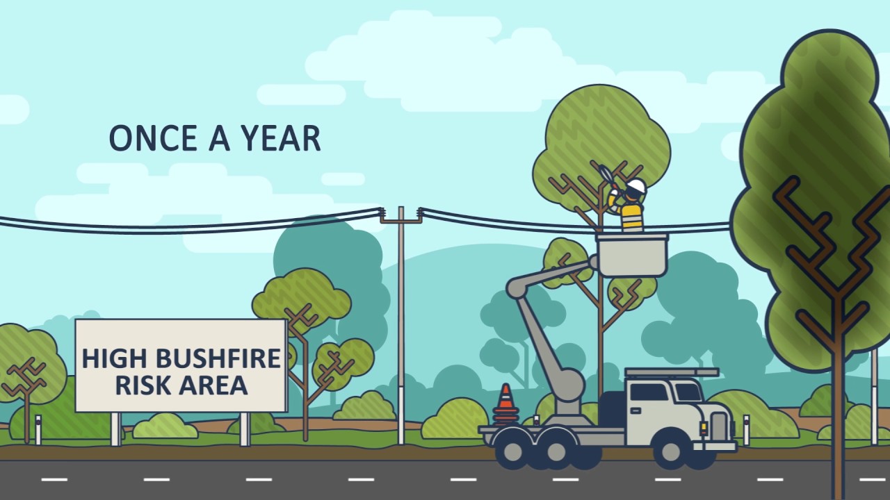 Trev and Stan on managing trees around power lines - YouTube