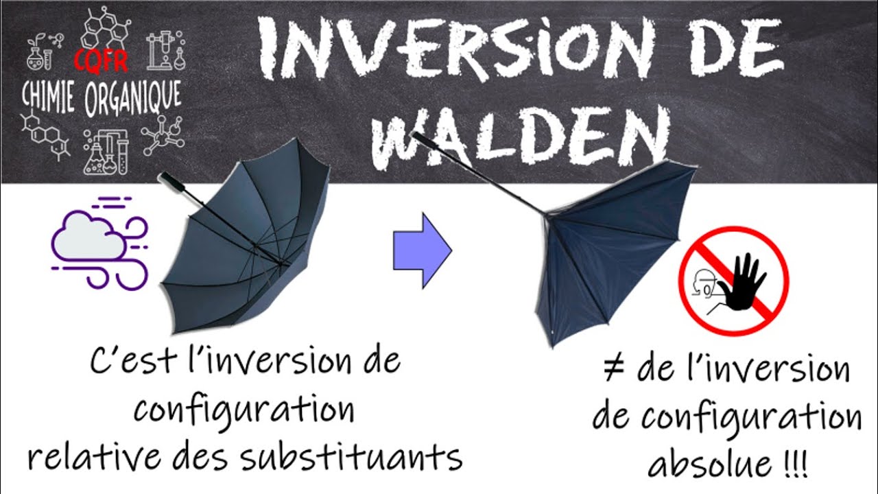 #49 l'Inversion de Walden - YouTube