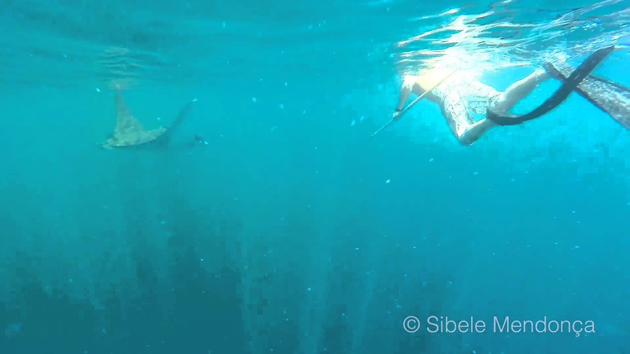 Latin America’s devil rays: biopsy - YouTube