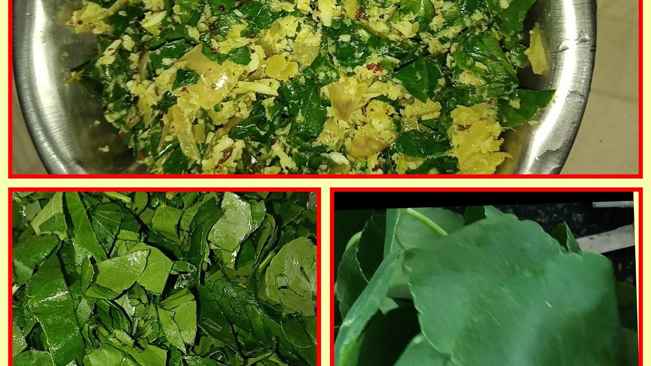 ondelaga recipe,,, easy and healthy (ಒಂದೆಲಗ /ಬ್ರಾಮ್ಮಿ ಎಲೆ ) - YouTube