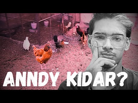 Morgie ka Andy kidar gaye 🤔 🥚🐓|😎@abdullahsultanahmedvlogASA | Vlog 151 - YouTube