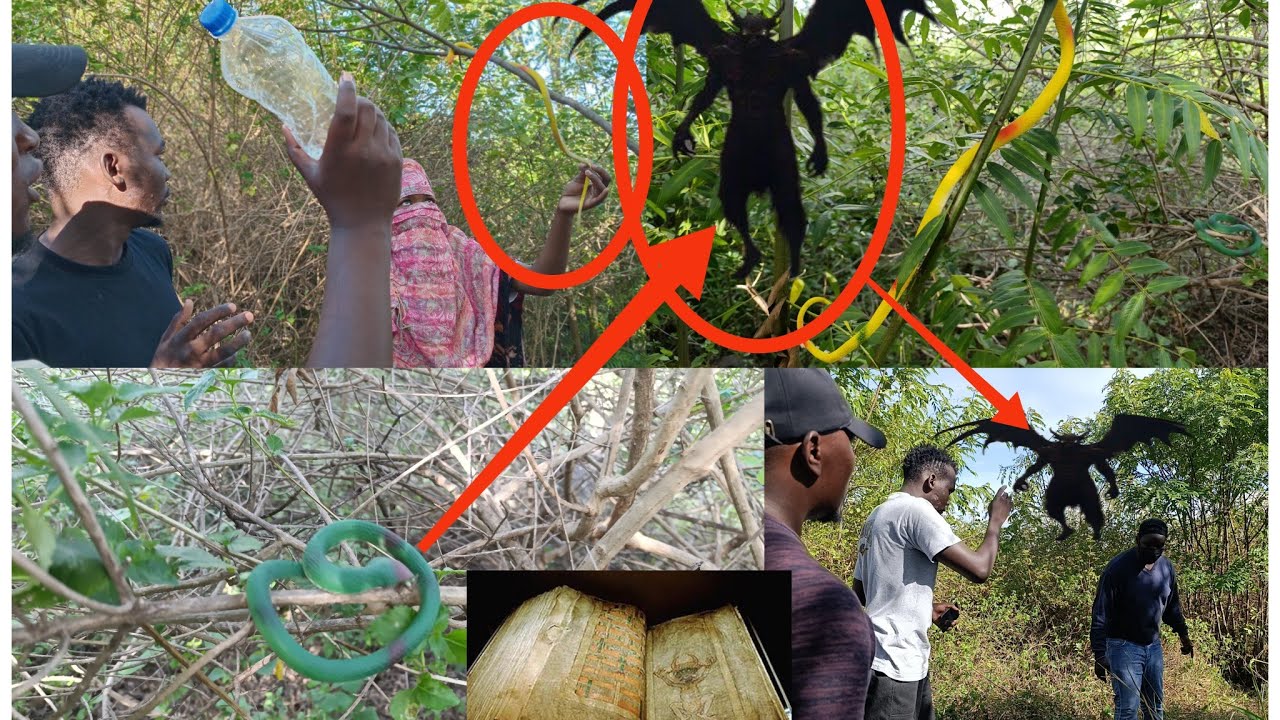 You won't believe,😳see what happened to mark and jonte,,😳😳so this is what baba onyango did to ...