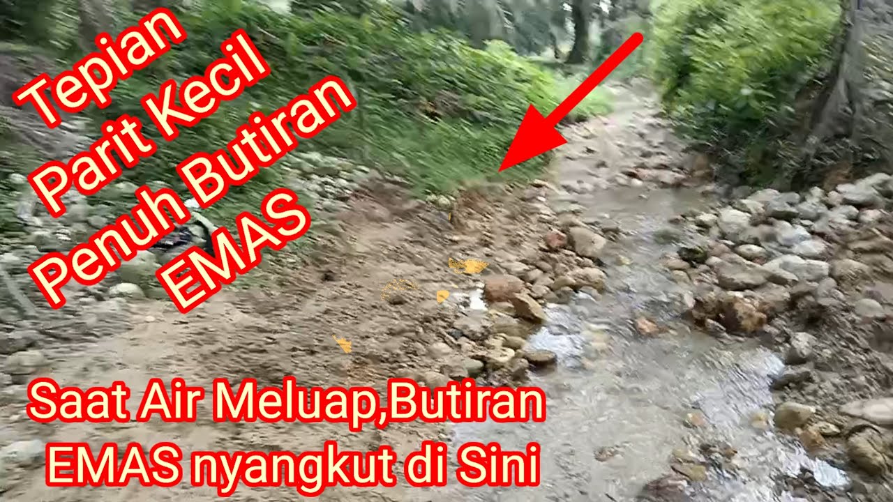 Banyak EMAS di Tepian Parit Kecil. - YouTube
