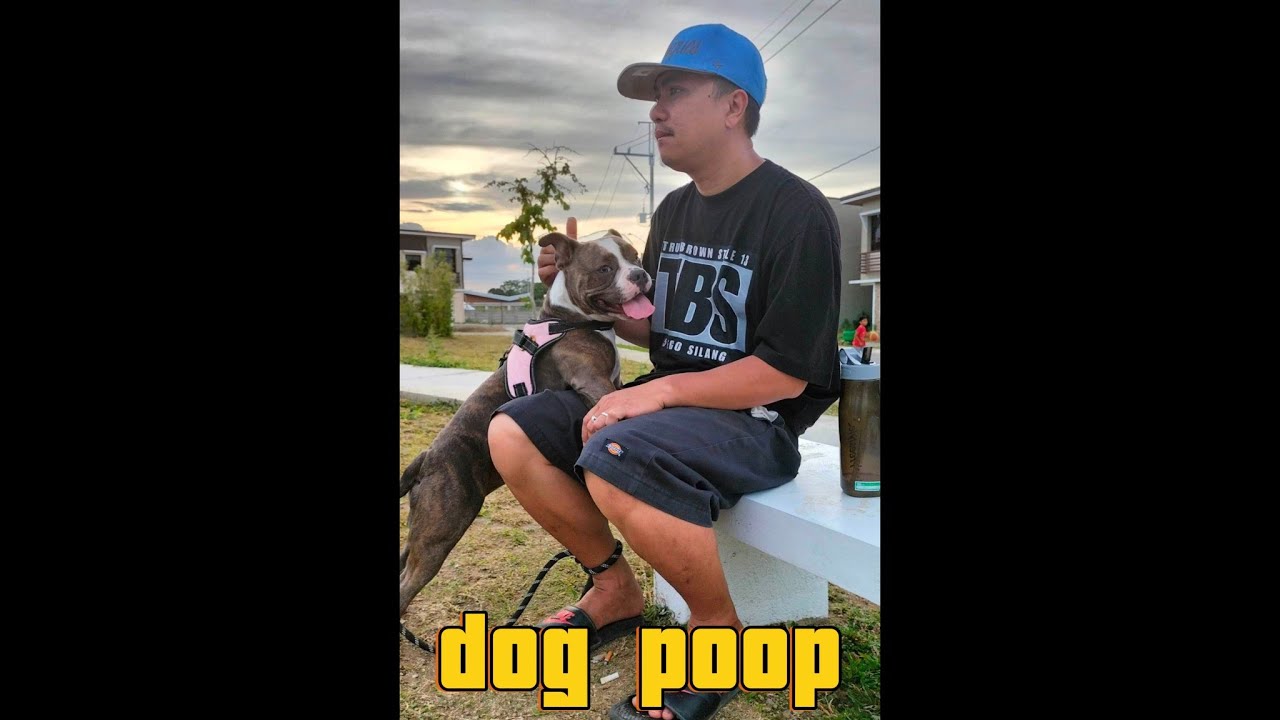 My dogs poop time Daily routine (episode 2) - YouTube