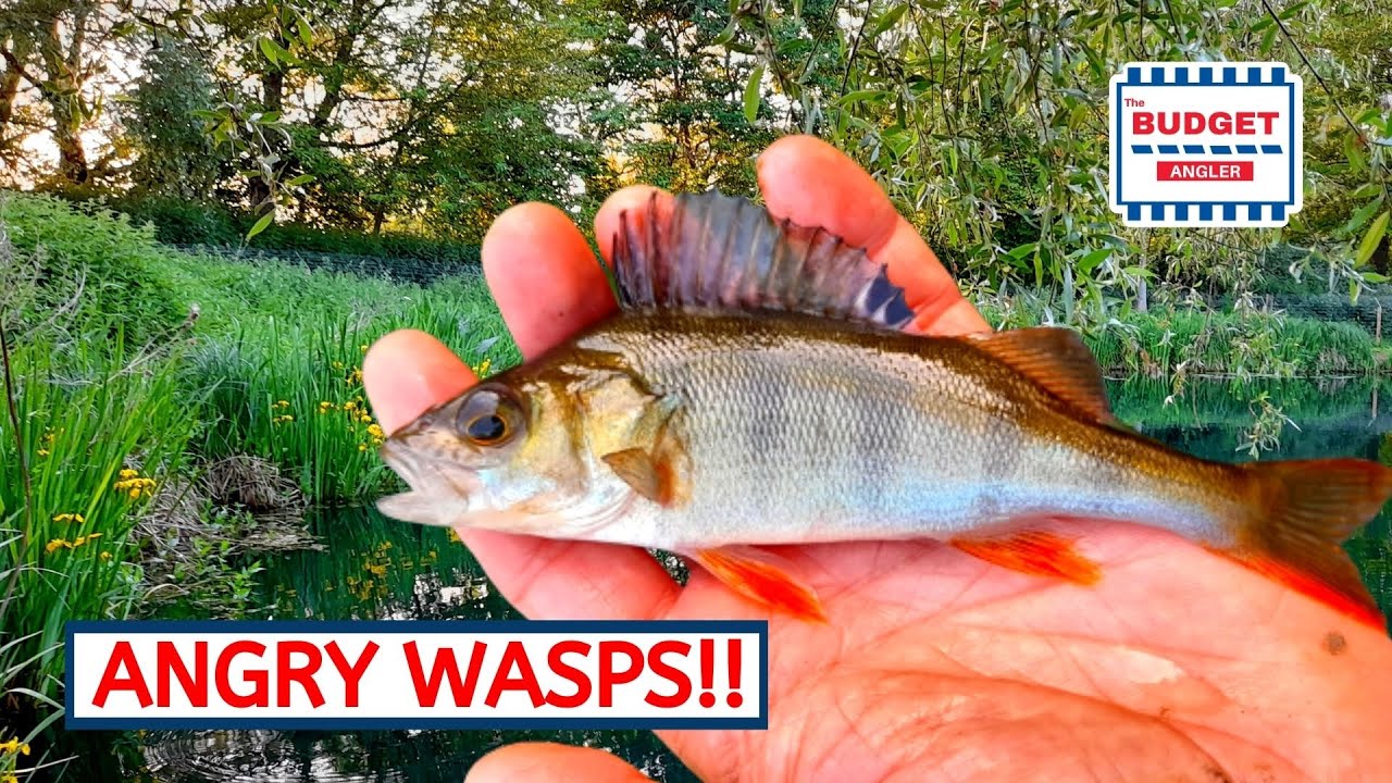 Perch fishing with TINY Micro Lures - YouTube