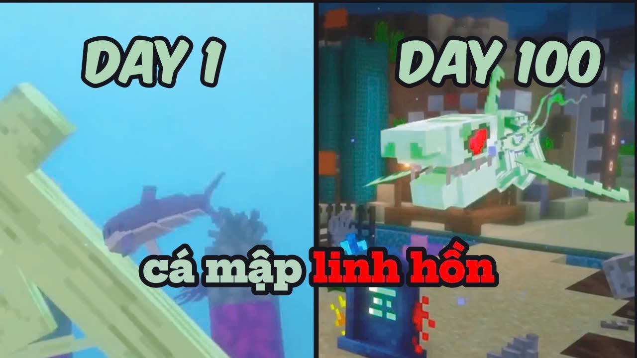 Trong Minecraft 100 ngày | Trở Thành Cá Mập Linh Hồn Giải Cứu Bố ...