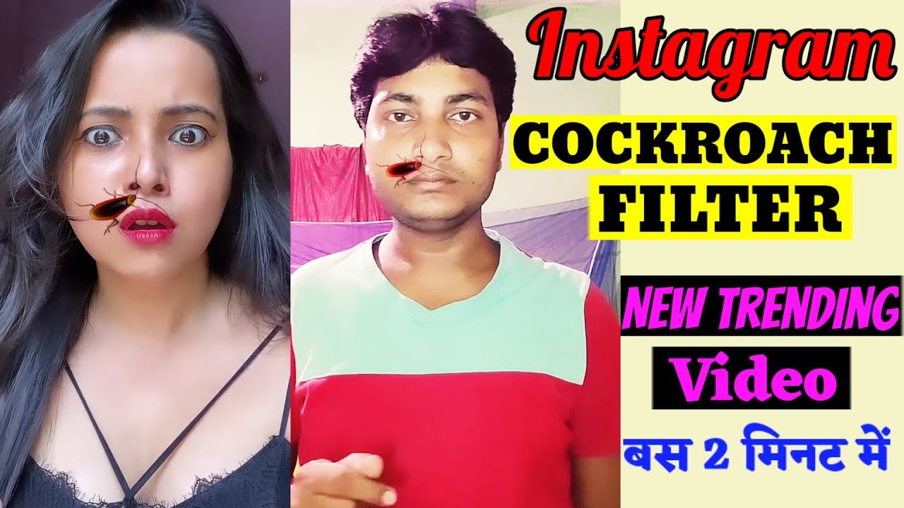 Cockroach Filter In Instagram Cockroach Wala Filter Cockroach Filter ...
