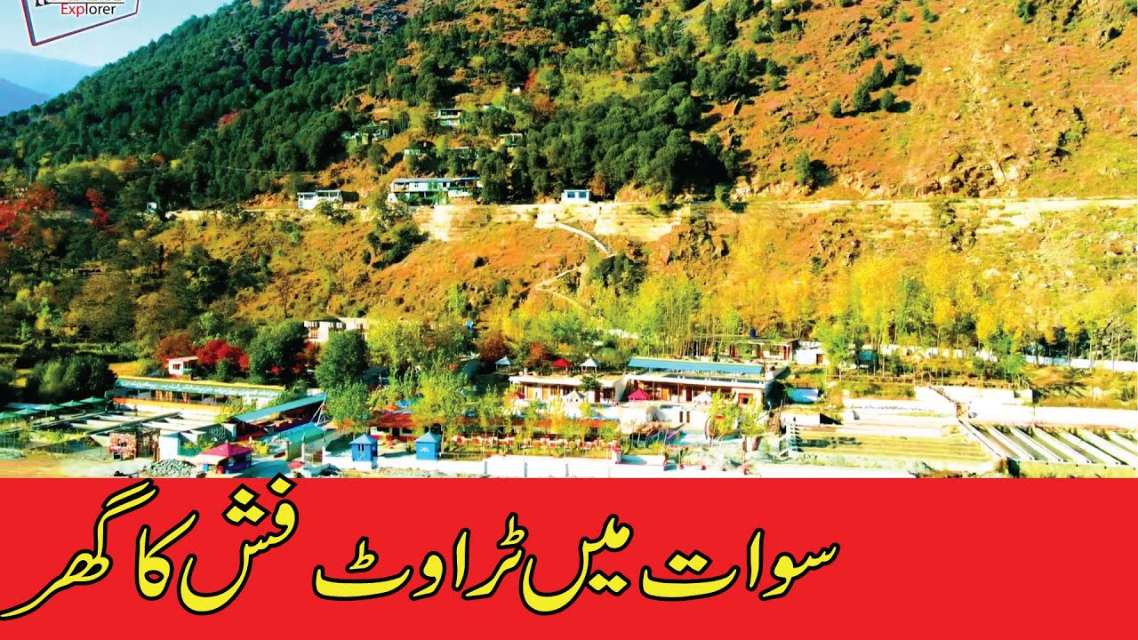 The Home Of Trout Fish Madyan Chell Park Swat/ Color Full Autumnal In ...