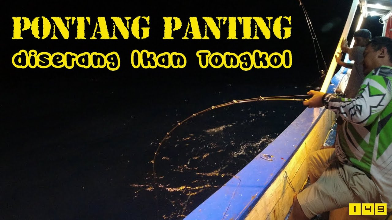 Pontang Panting !! Strike ikan PONTANG/ikan TONGKOL tengah malam ~ Trip ...