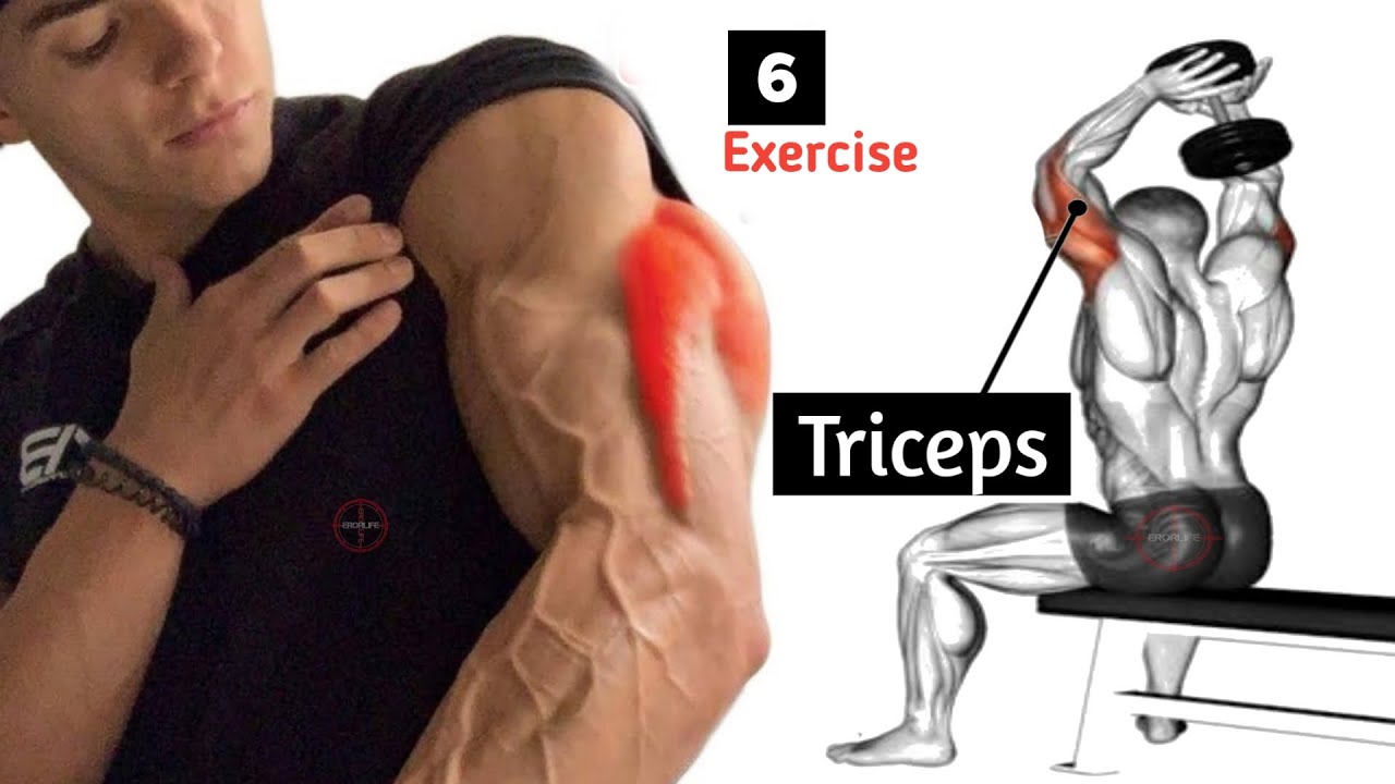 6 Best Exercise at The Gym For Triceps Mass | ERORLIFE FITBODY - YouTube