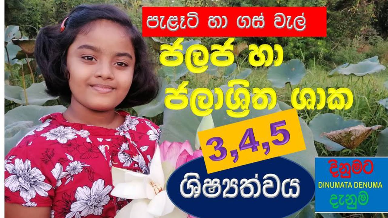 Grade 5 Scholarship Exam 2021 Grade 4 5 Syllabus Parisaraya grade-5-scholarship-exam-2021-grade-4-5-syllabus-parisaraya