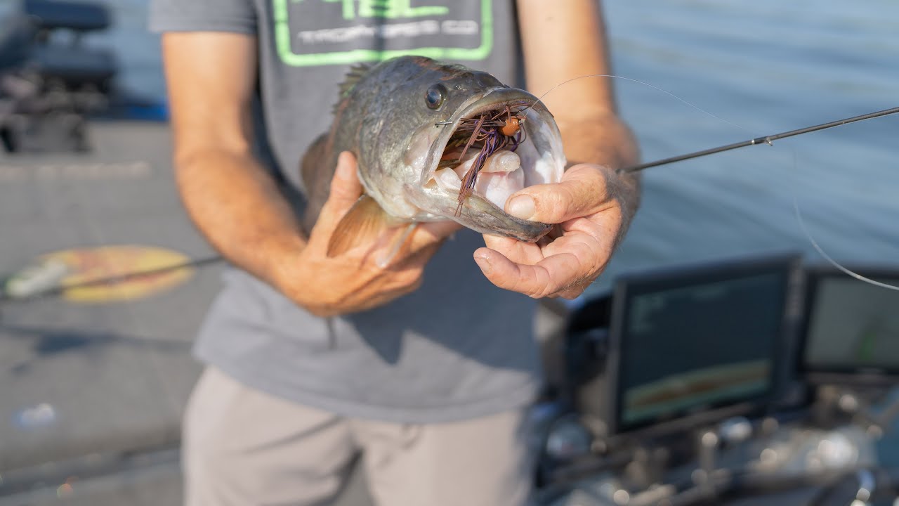 Selecting the Perfect Jig Rod for Bass - YouTube