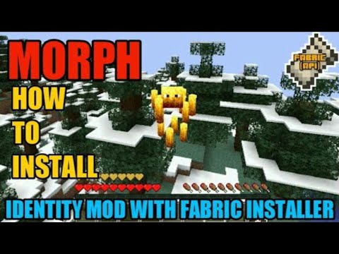 IDENTITY MOD 1.16.5 minecraft - how to Download & Install morph mod 1. ...