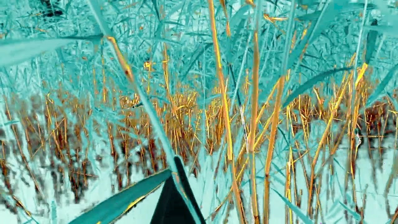 Right into the reeds - YouTube