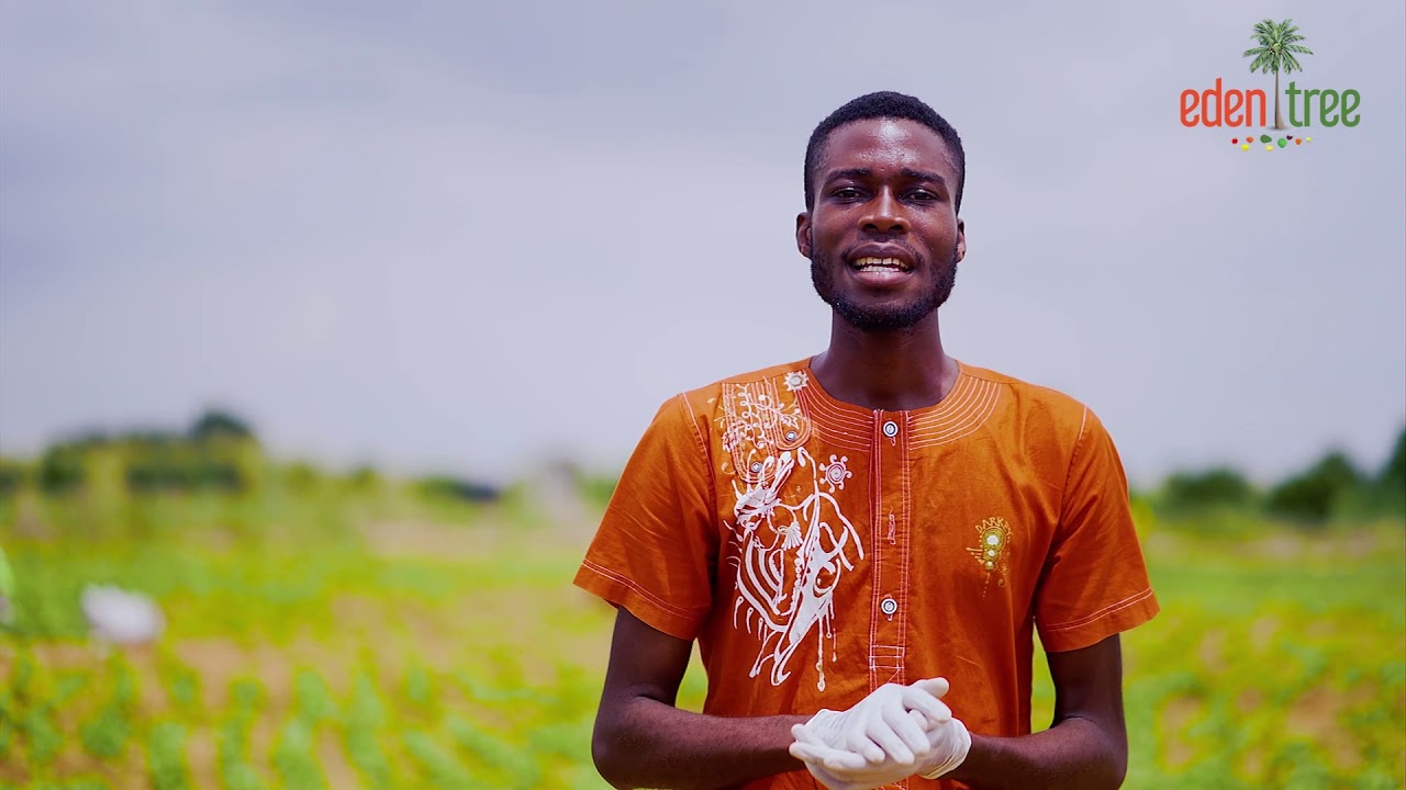 Eden Tree Ltd - YouTube