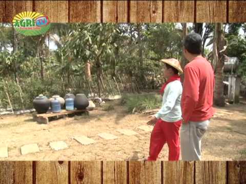 AgriTV at Sweet Spring Country Farm with Senator Kiko Pangilinan - YouTube