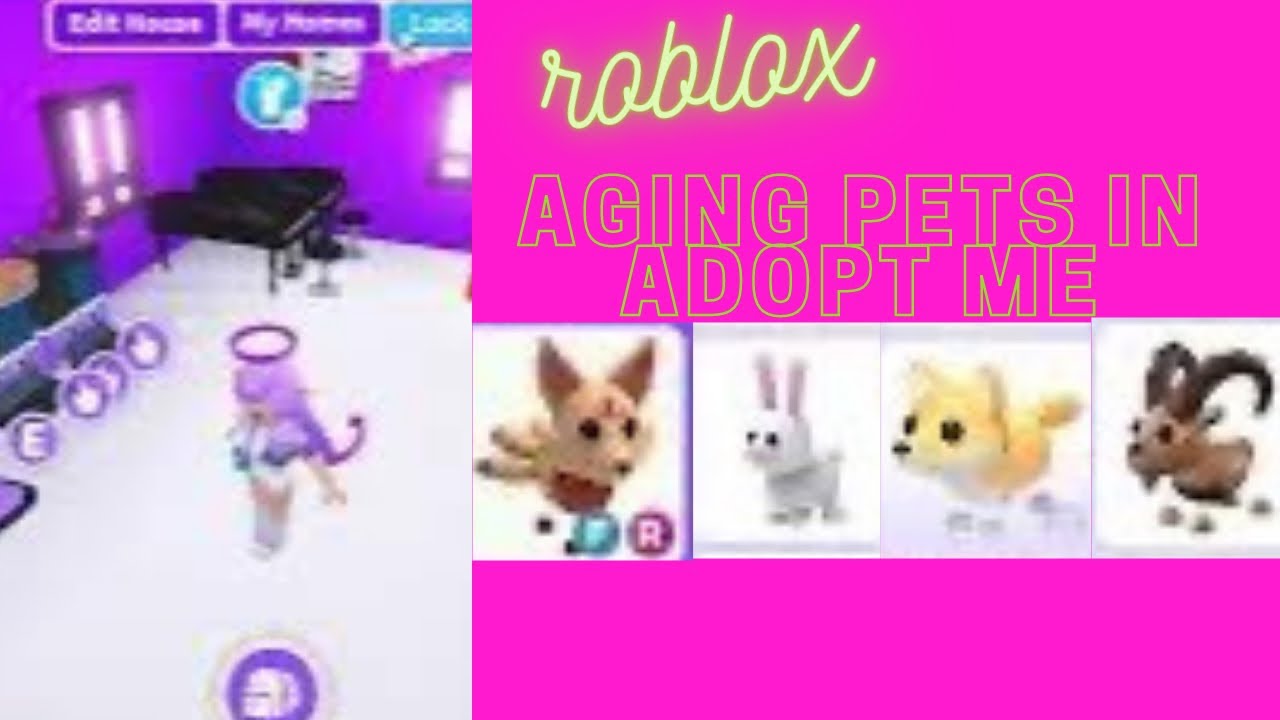 《AGING PETS IN ADOPT ME|Roblox|KYLIEBLOX GAMING》 - YouTube