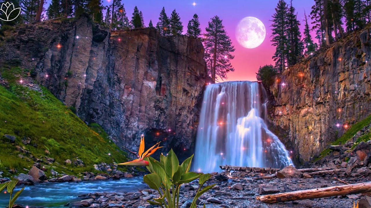 Harmonize Your Mind: Brain Calming Music for Mental Coordination - YouTube