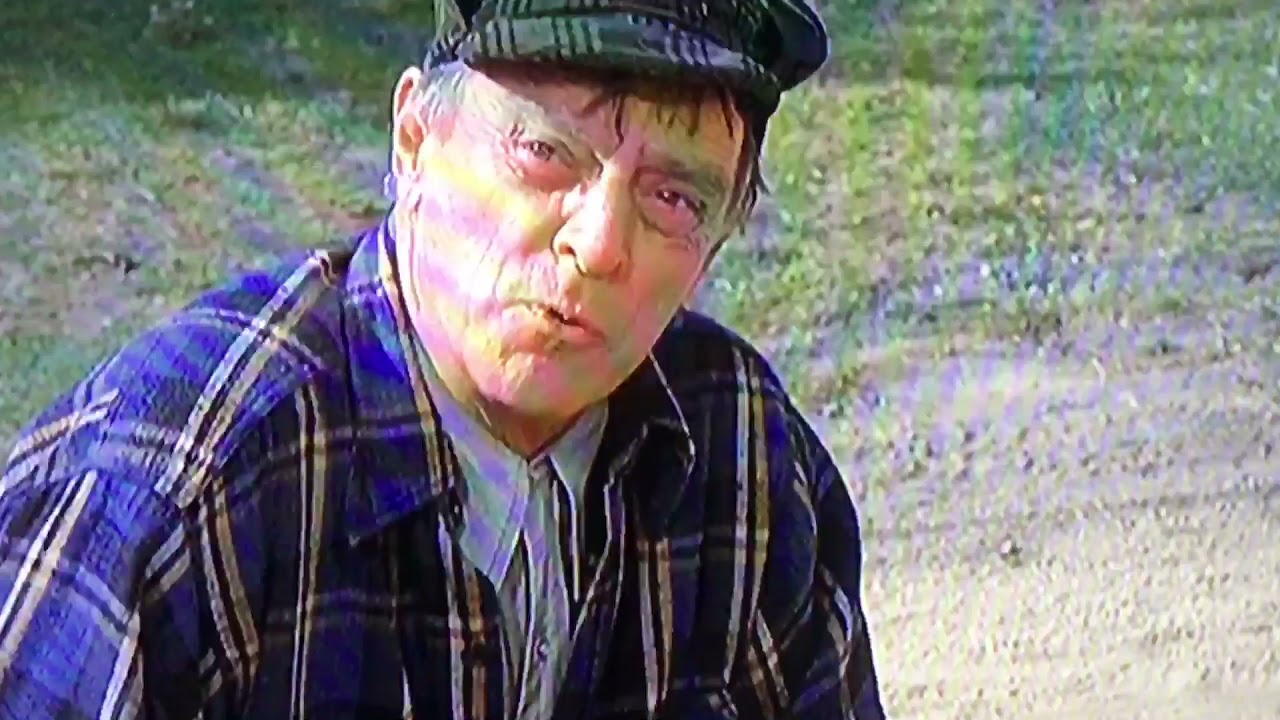 The Incredible Hulk The First Part 1 Dell decides to help David scene ...