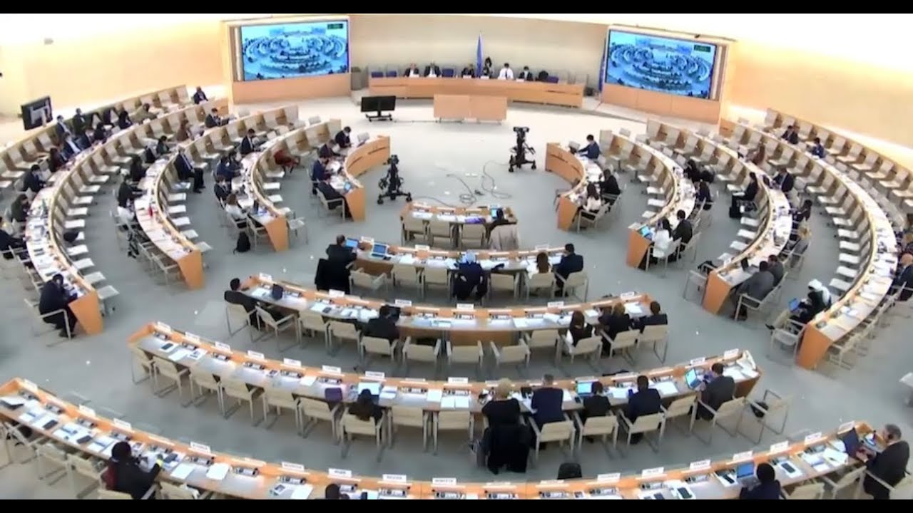 Conselho Federal da OAB na ONU - YouTube