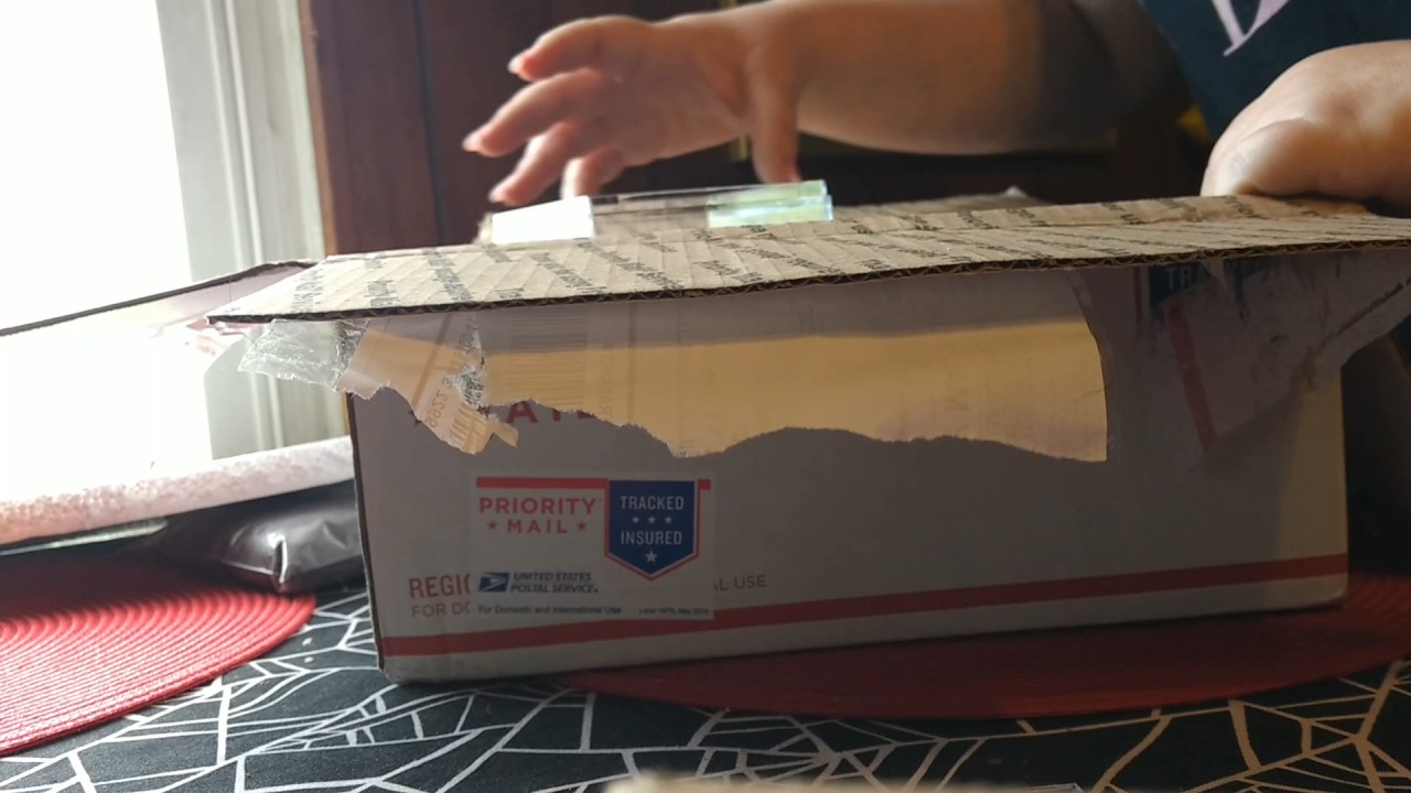 Unboxing a new spider from Jaime's Tarantula's - YouTube