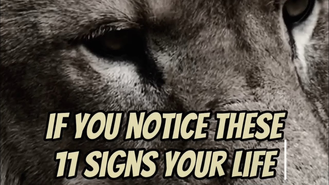 If you notice these 11 signs your life is about to change - YouTube