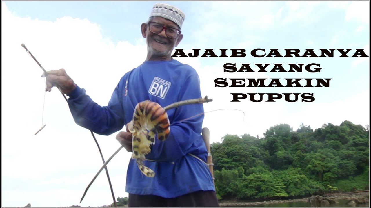 UDANG MENTIS SATAK#AJAIB CARANYA,SAYANG SEMAKIN PUPUS - YouTube