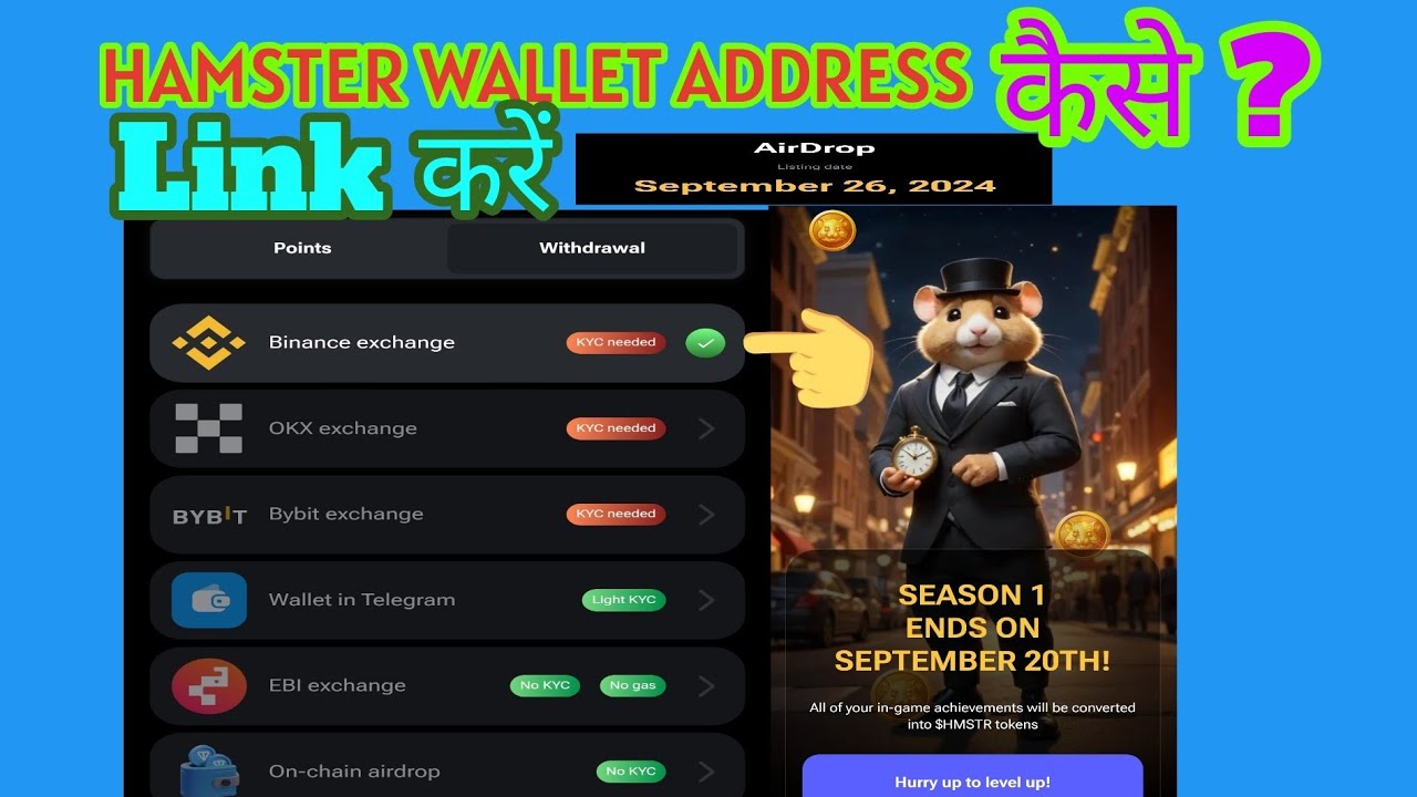 How to Link Hamster Wallet Address from Binance | Step-by-Step Guide ...