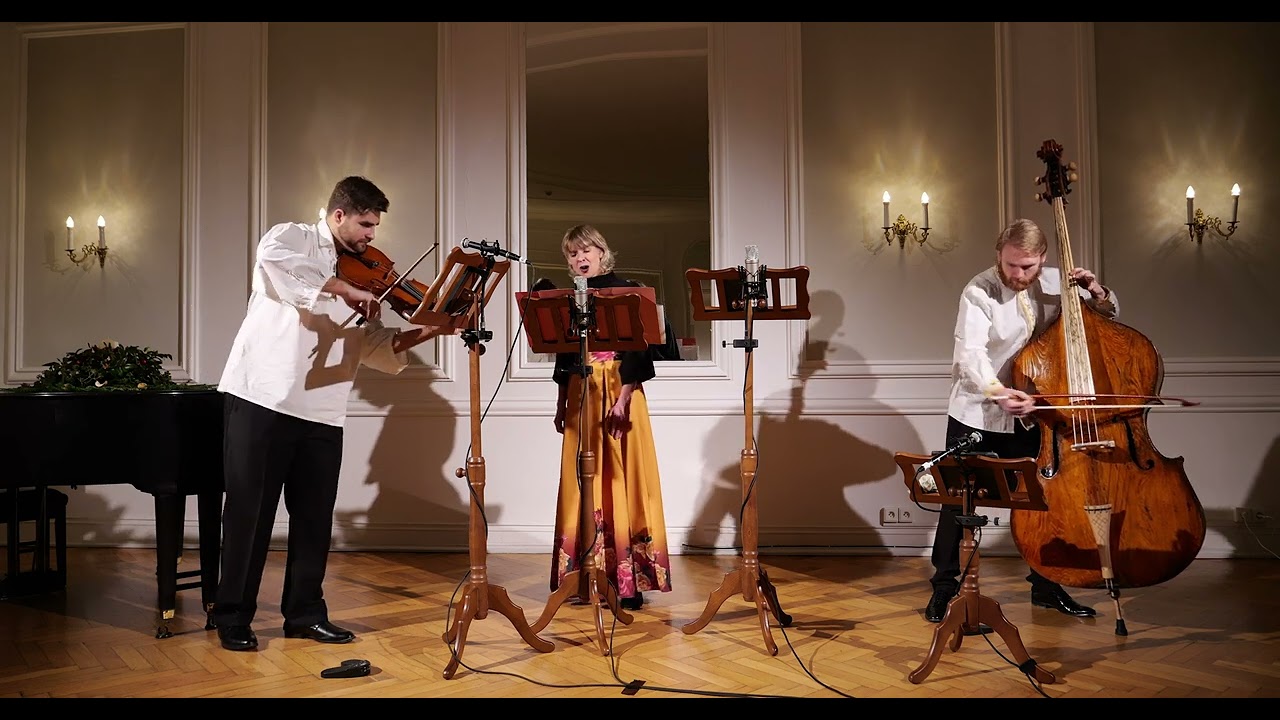 Viennese Tuning Times – Sebastian Brettfeld Double Bass and Violone ...