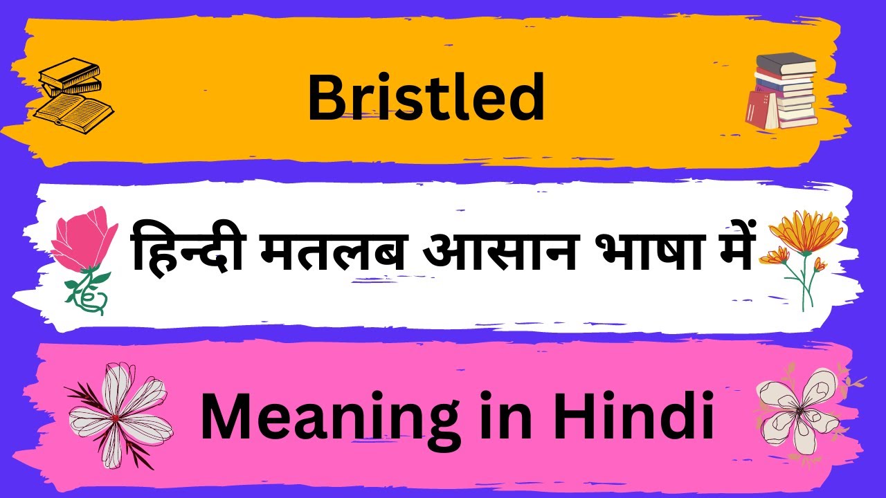 Bristled Meaning in Hindi/Bristled का अर्थ या मतलब क्या होता है - YouTube