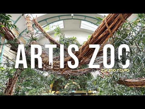 ARTIS Tour | The Beautiful Zoo of Amsterdam!