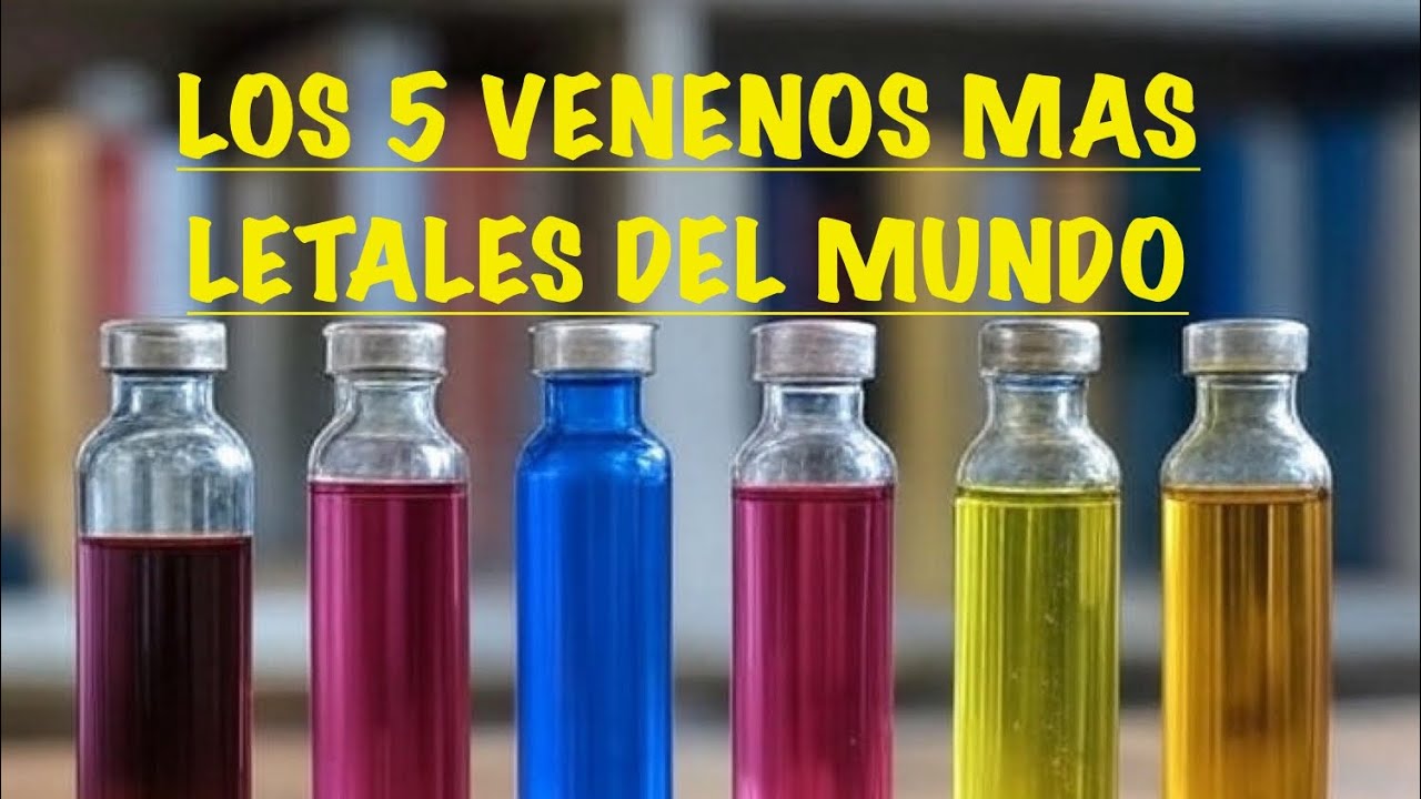 LOS 5 VENENOS MÁS LETALES DEL MUNDO #parati #historia #videos #viral # ...