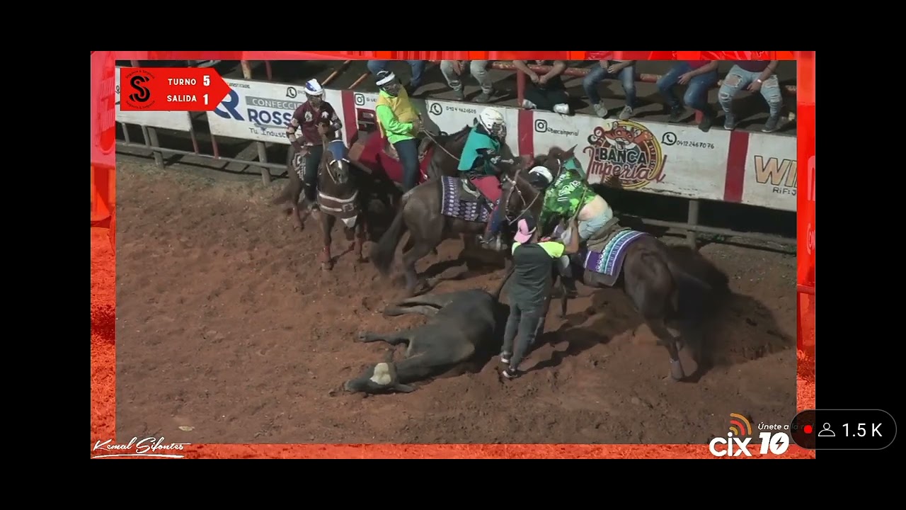 Toros Coleados millonario de coleo Maturin día viernes Gregorio Gimenes ...