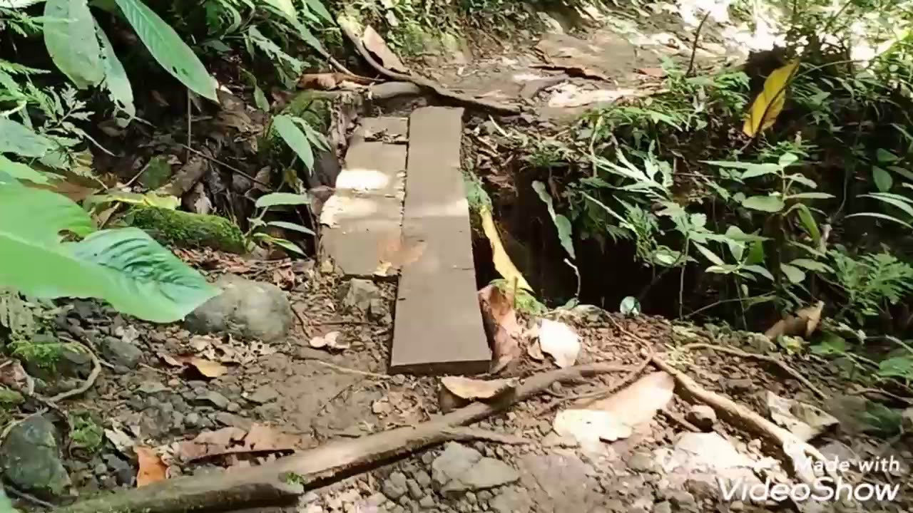 Trip to Bega Falls - YouTube